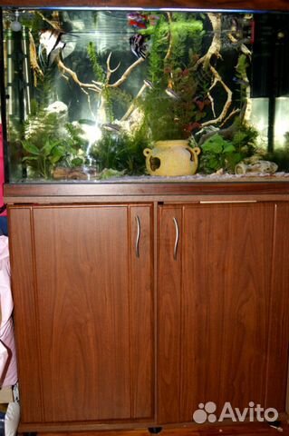 Аквариум 150 л с рыбками