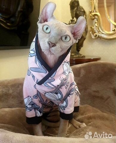 Канадский сфинкс, Эльф, Вязка