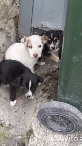 Люди добрые, что ж вы делаете