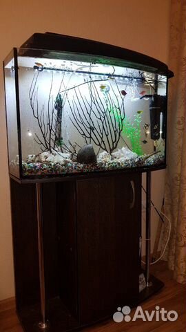 Аквариум 100 л