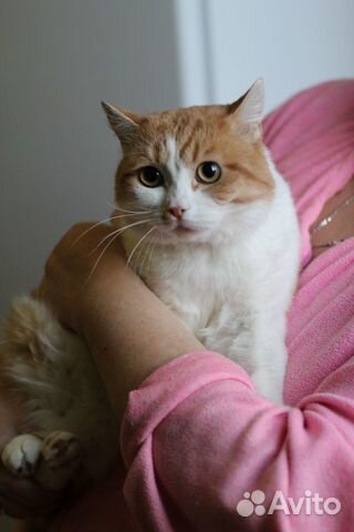 Амур в добрые руки