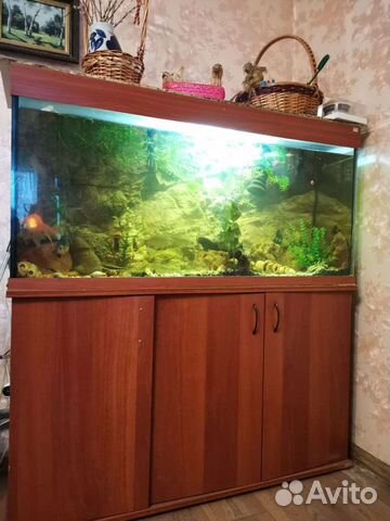 Аквариум с рыбками и оборудованием