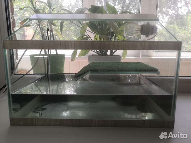 Аквариум с черепахой
