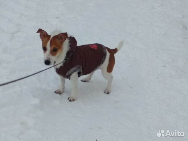 Комбинезон зимний