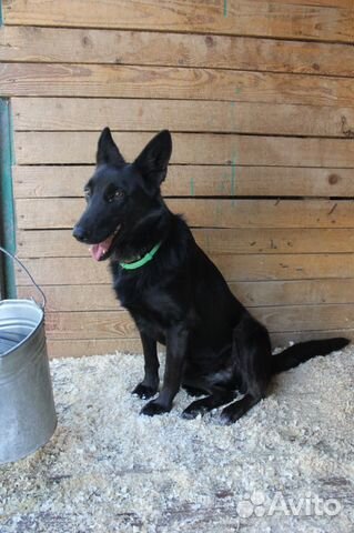 Молодость Тринити проходит в приюте