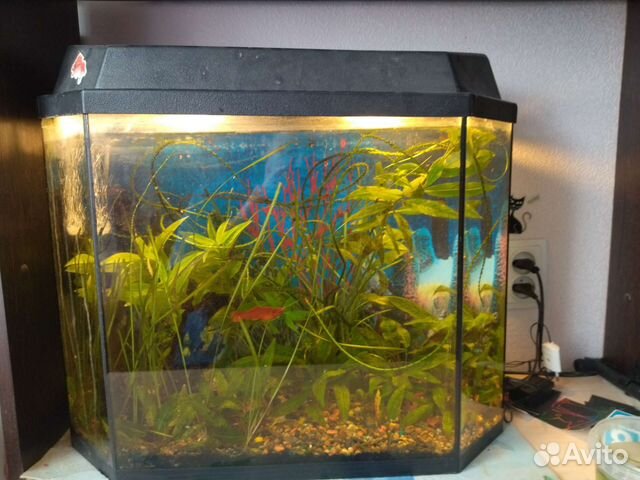 Аквариум 60л полный комплект