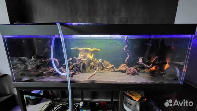 Аквариум акриловый 750 литров