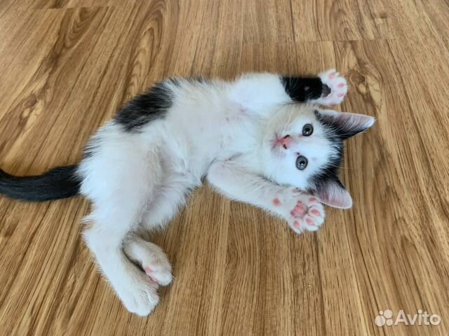 Красивая девочка ищет семью