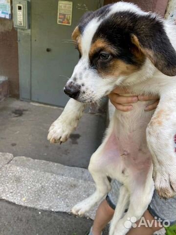 Красавчик мальчик 3 месяца бесплатно