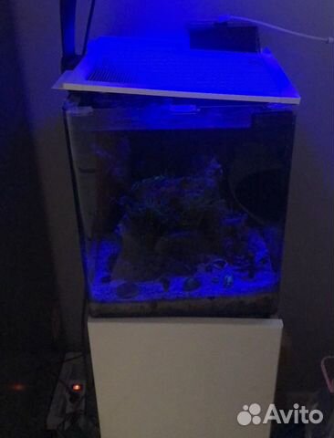 Морской аквариум