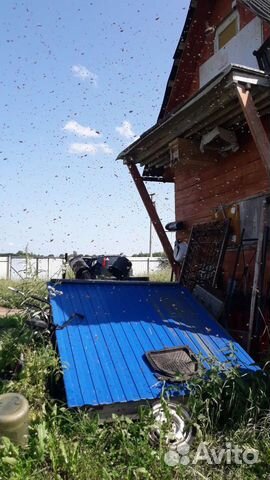 Продам Рой пчёл