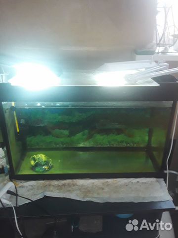 Террариум для красноухой черепахи