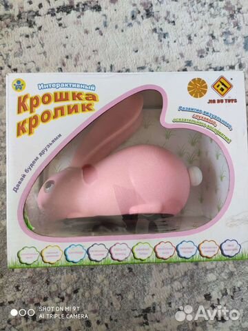 Кролик