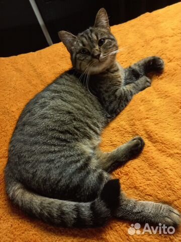 Ненужная Кэсси :