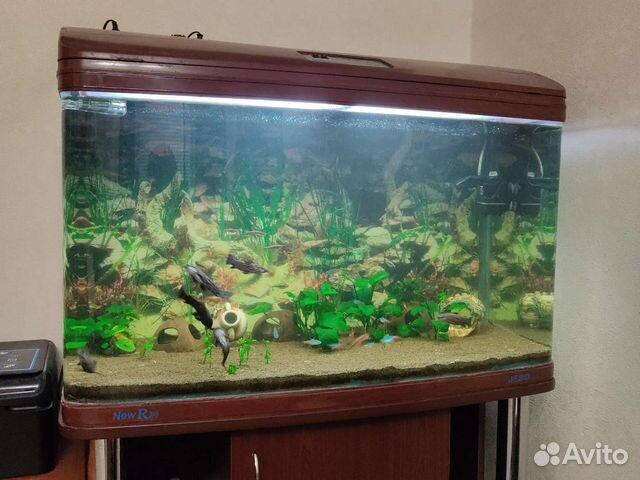 Аквариум jebo R390kg