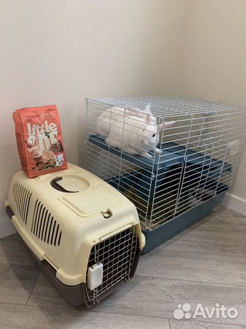 Декоративные кролики с клеткой