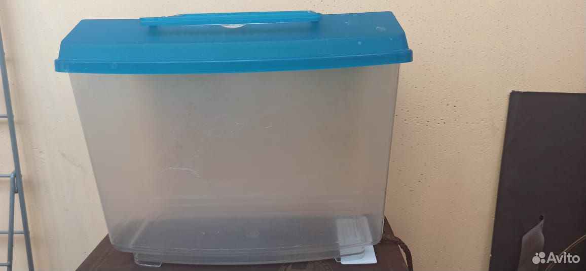 Аквариум-террариум для улитки